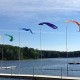 19′ Bird Deterrent Kit with Solid Color 14′ Pennant | Dori Pole